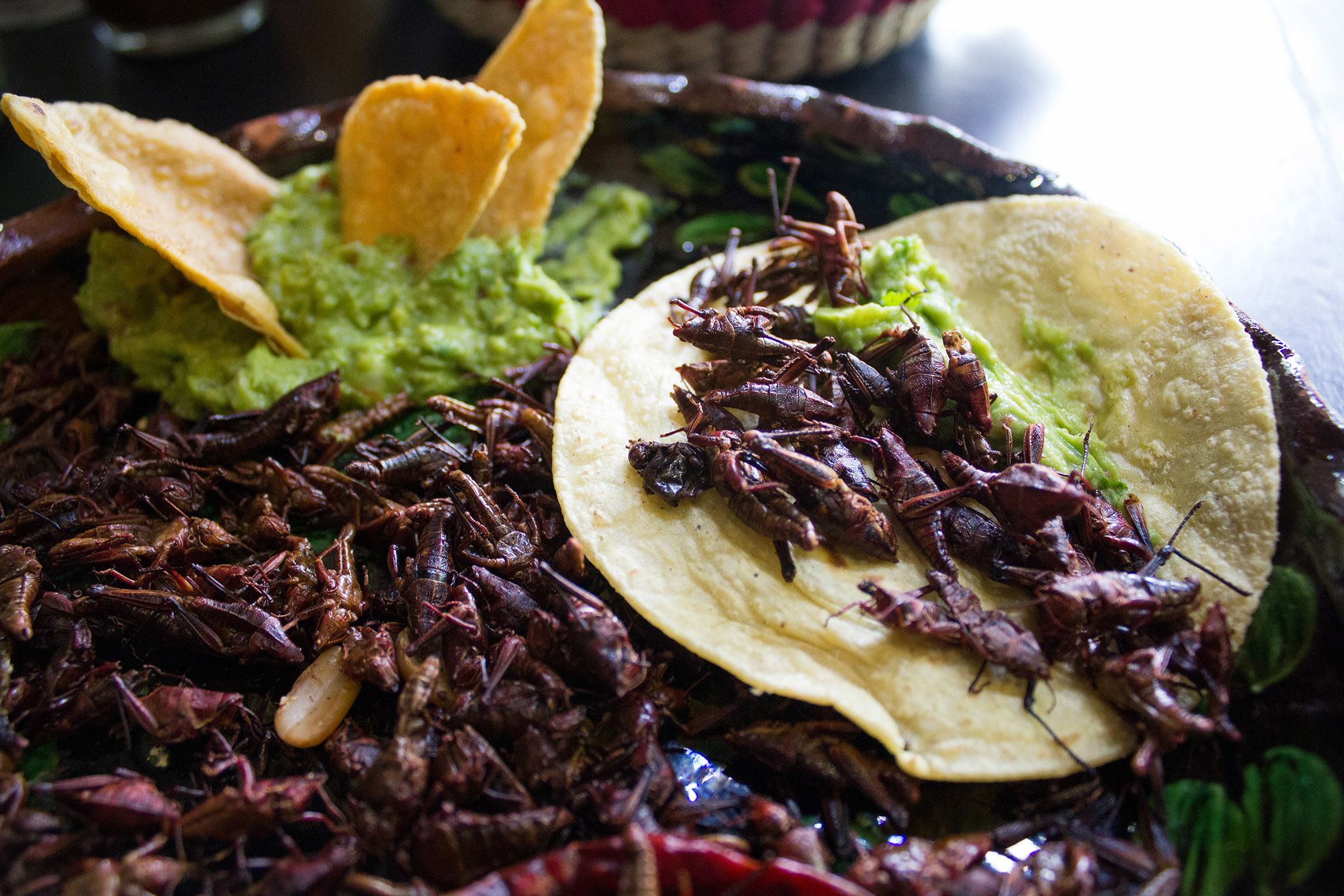 Las 7 comidas más extrañas del mundo que no te atreverías a probar