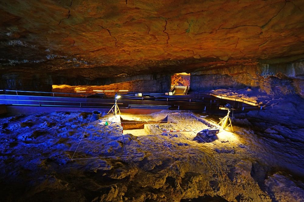 Cueva de Altamira: cómo visitarla, mejores días y condiciones